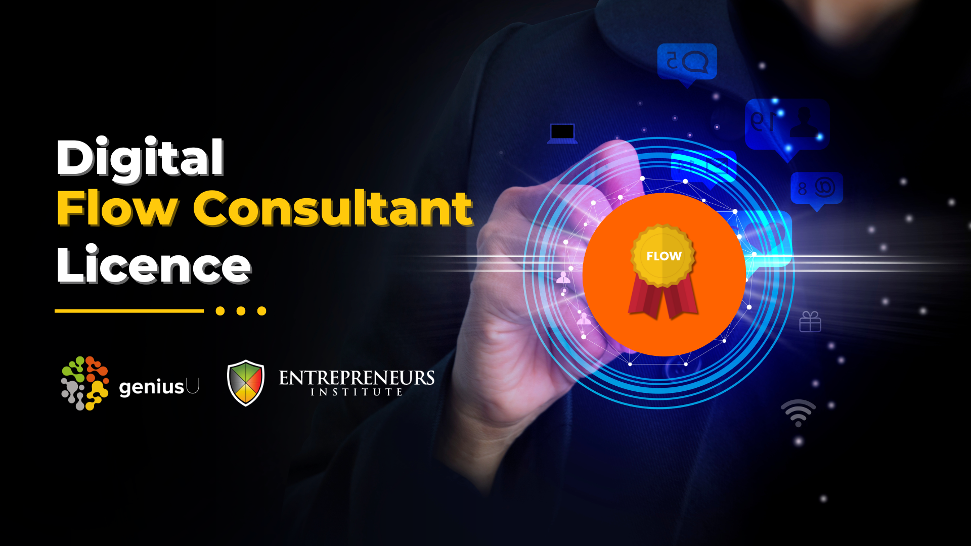 Digital Flow Consultant Licence